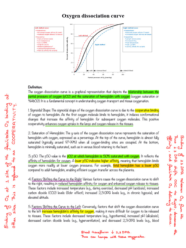 Oxygen Dissociation Curve | PDF | Hemoglobin | Blood