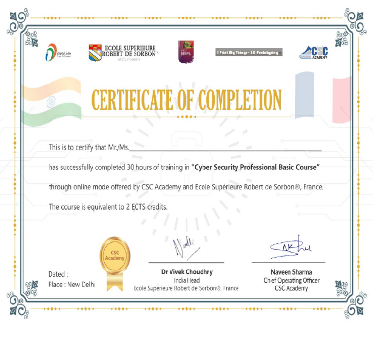 Cyber Secutiy Certificate _CSCAcademy | PDF