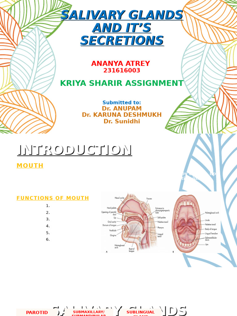 Salivary Glands and It's Secretions | PDF | Saliva | Human Anatomy