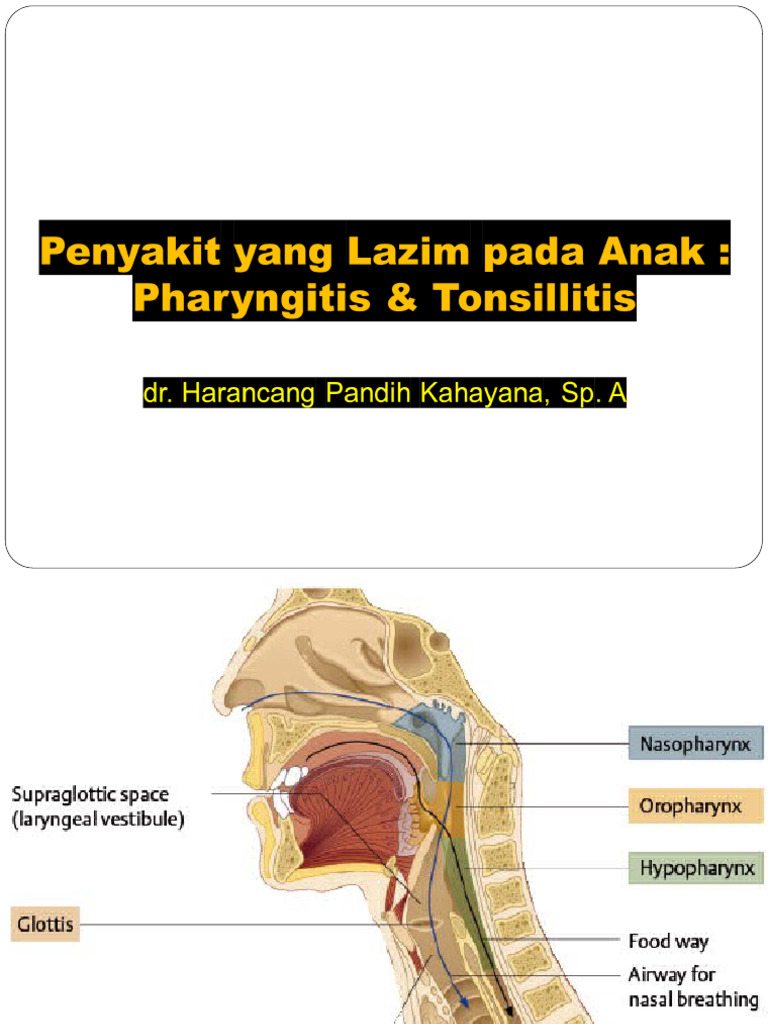 Panduan Lengkap Tonsillitis dan Pharyngitis | PDF