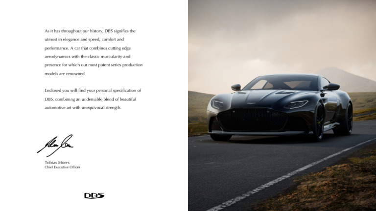 Your-DBS-Split-Page-2 | PDF