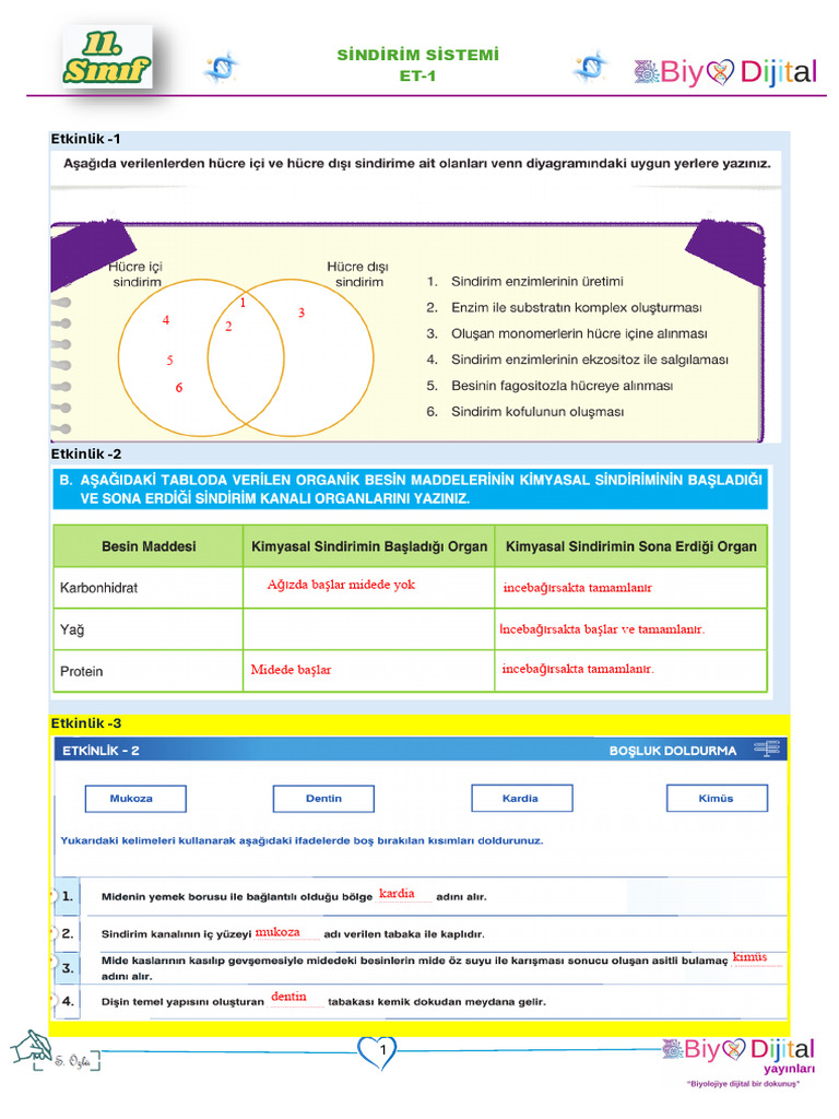 Si̇ndi̇ri̇m Si̇stemi̇ Et-1 CVP | PDF