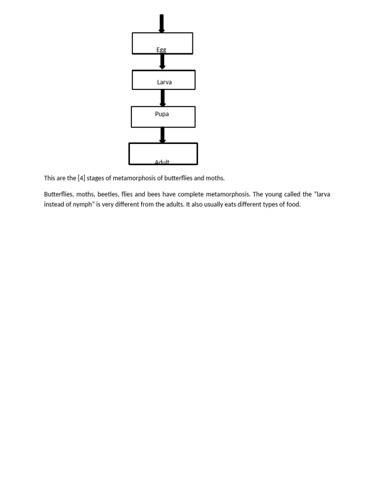 Saidu Hafsat. Cosc 101 Practical Class | PDF