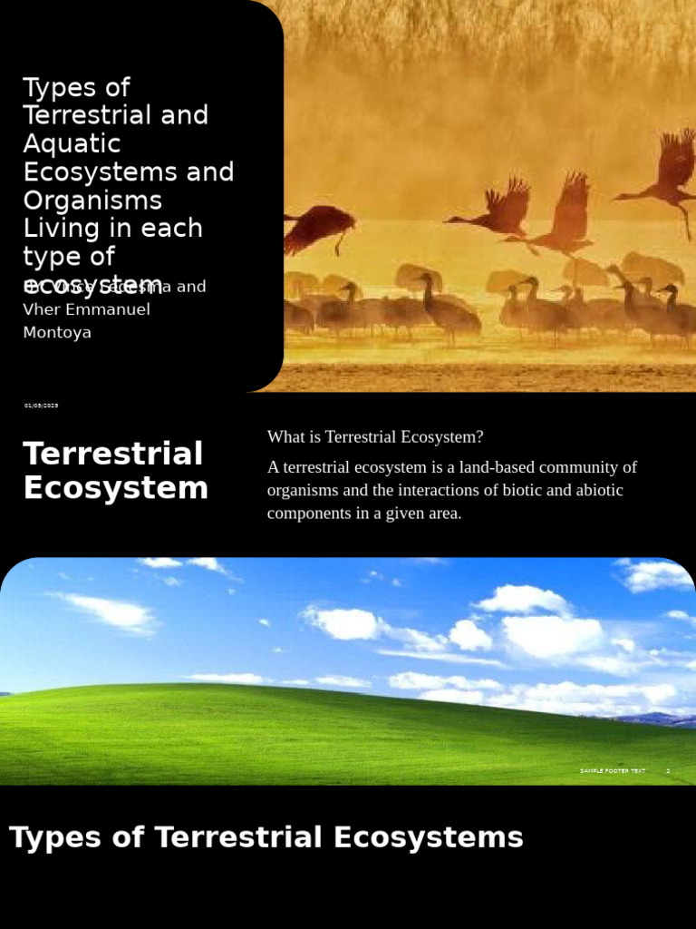 Terrestrial and Aquatic Ecosystems Overview | PDF | Aquatic Ecosystem ...