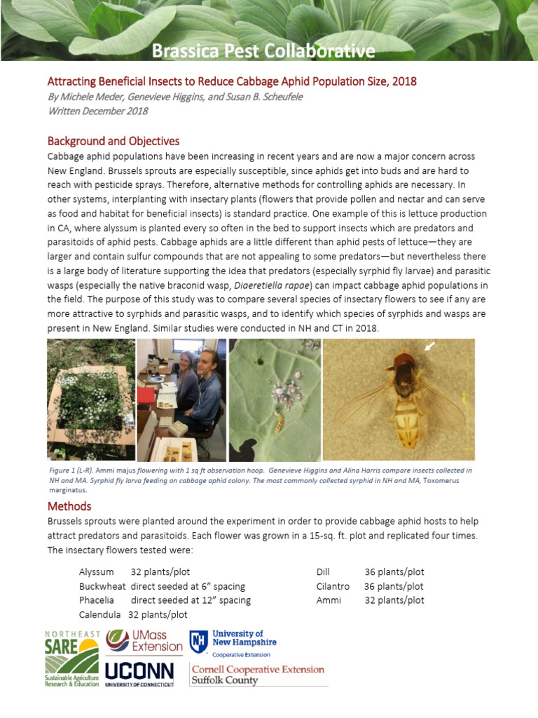 Insectary 2018 Report | PDF | Wasp | Insects