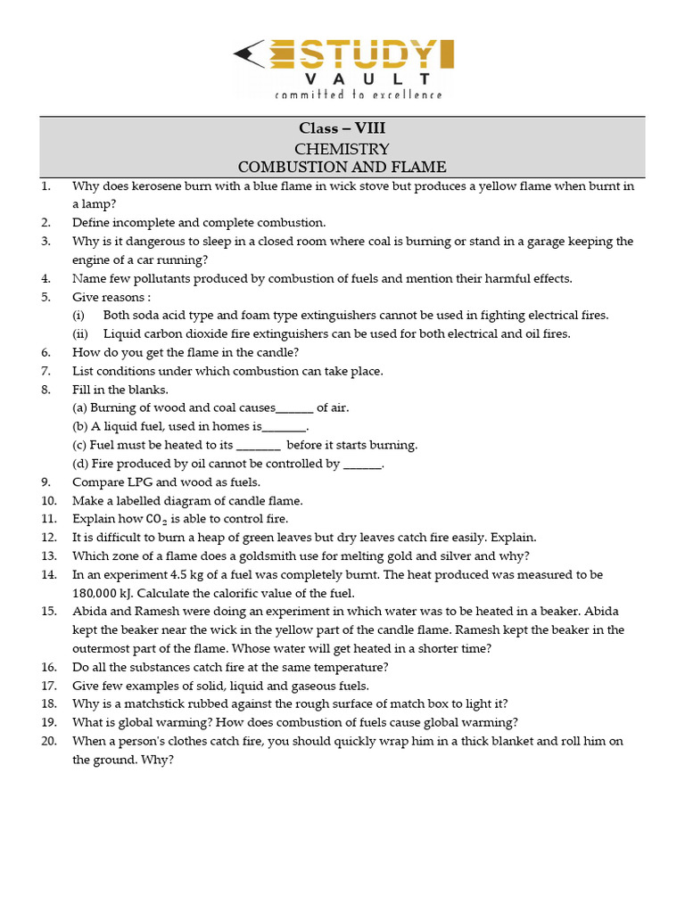 Class VIII Chemistry: Combustion Basics | PDF