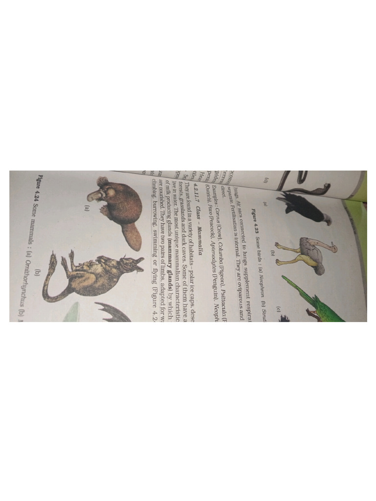 Science Best Book | PDF