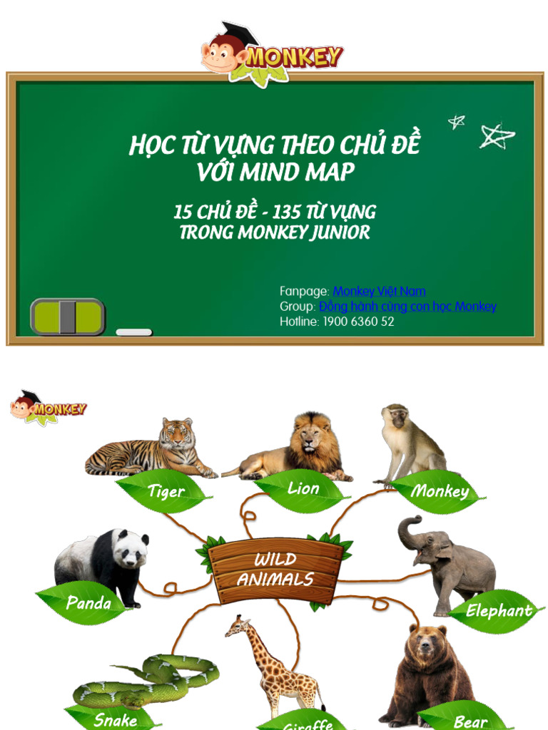 Monkey - MindMap | PDF