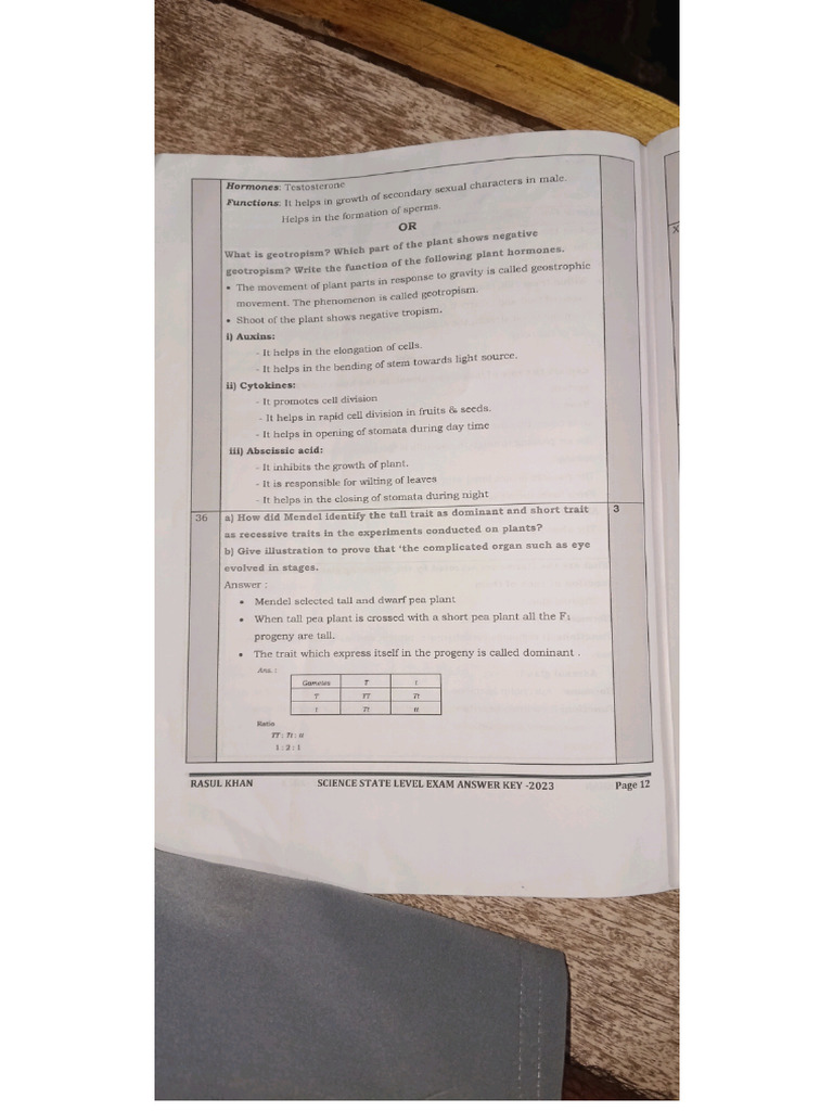 Physics Class Book | PDF