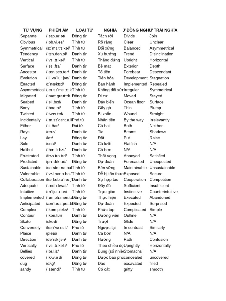 New Words | PDF