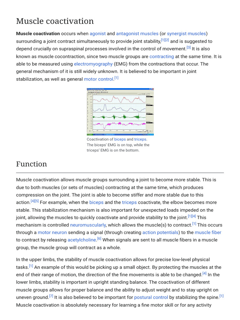 Muscle Coactivation: Stability & EMG | PDF | Soft Tissue | Human Anatomy