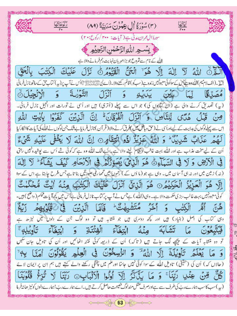 Usama Saleem Presentation | PDF