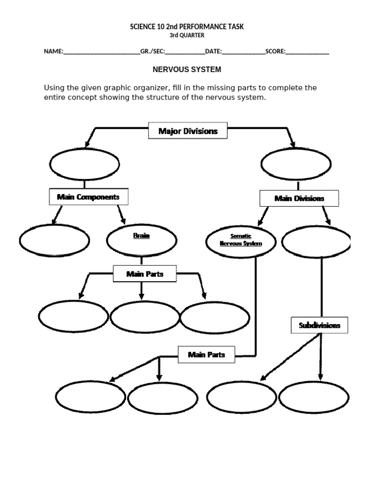q 3 Performance Task 2 | PDF