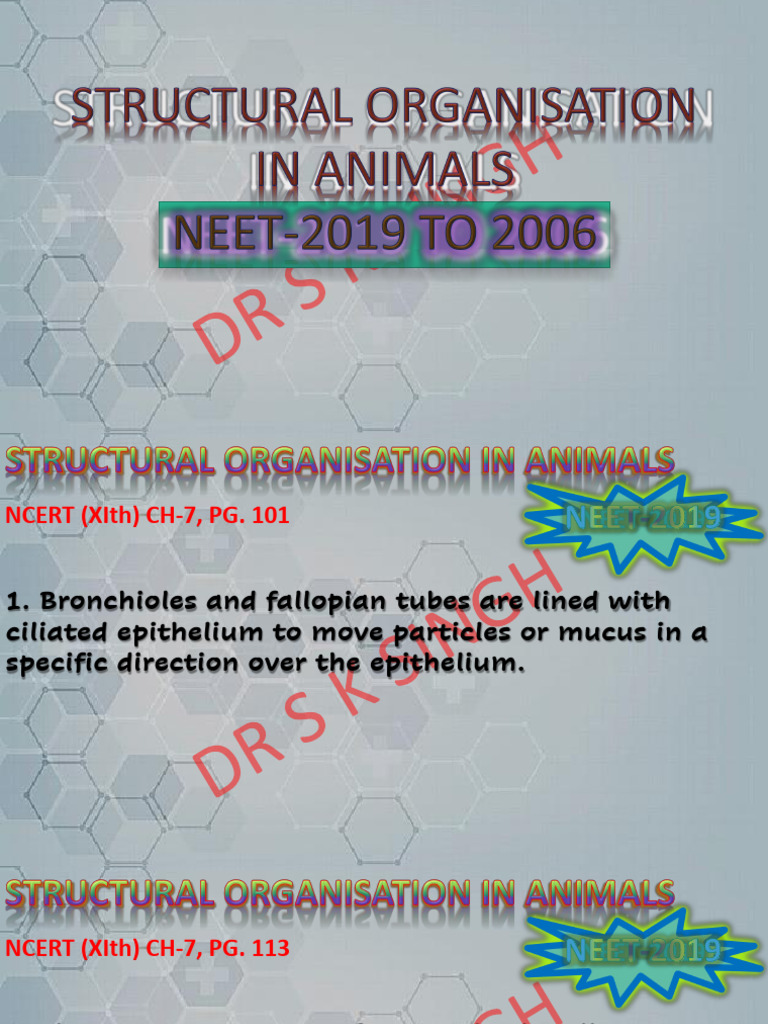 Structural Organisation in Animals | PDF | Epithelium | Tissue (Biology)