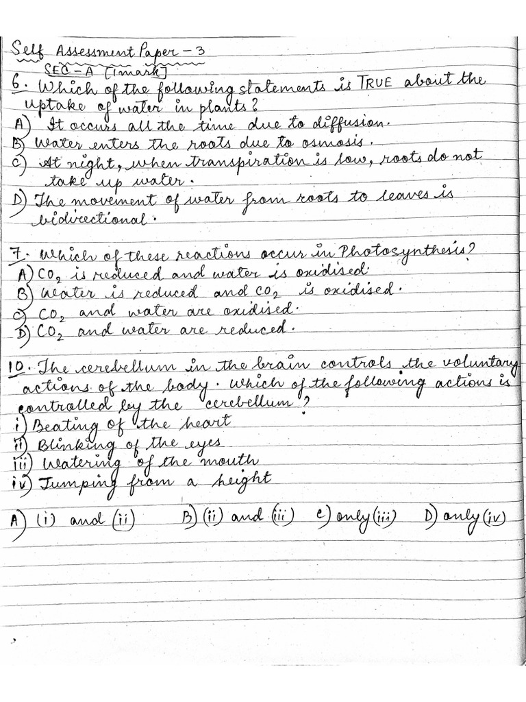Self Assessment-3 SPQ | PDF