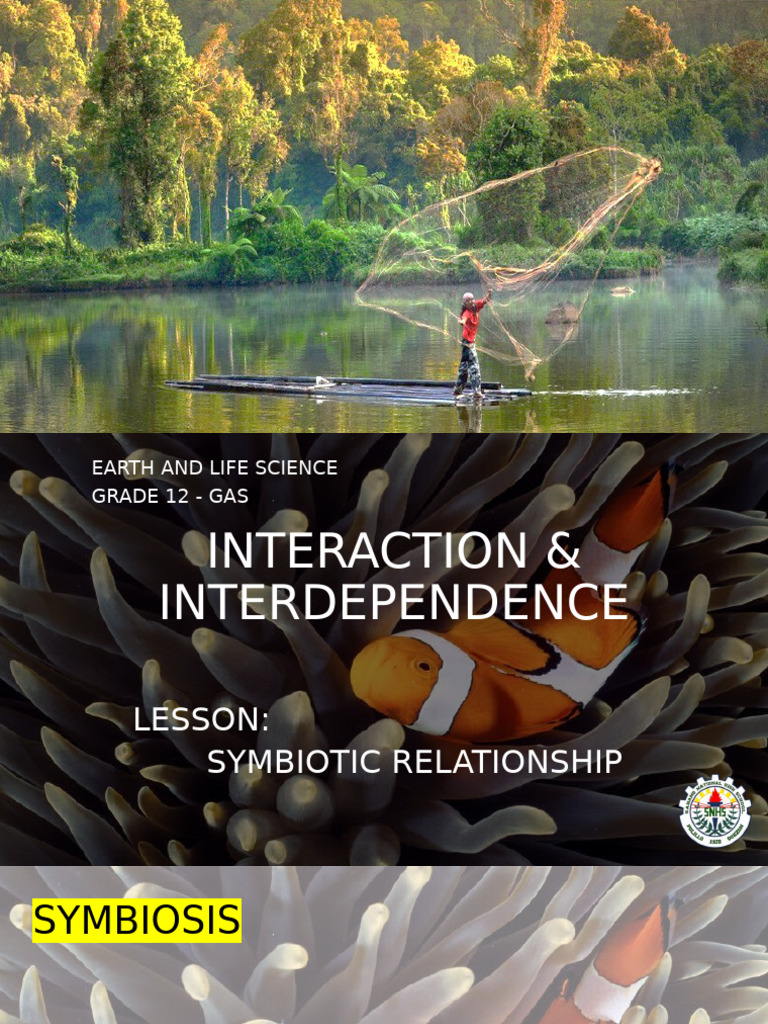 Interaction & Interdependence | PDF