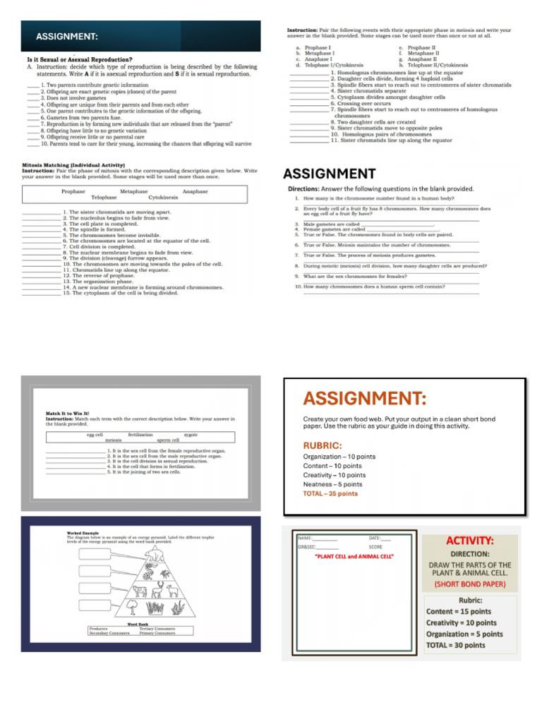 Science 7 Activities and Tasks | PDF