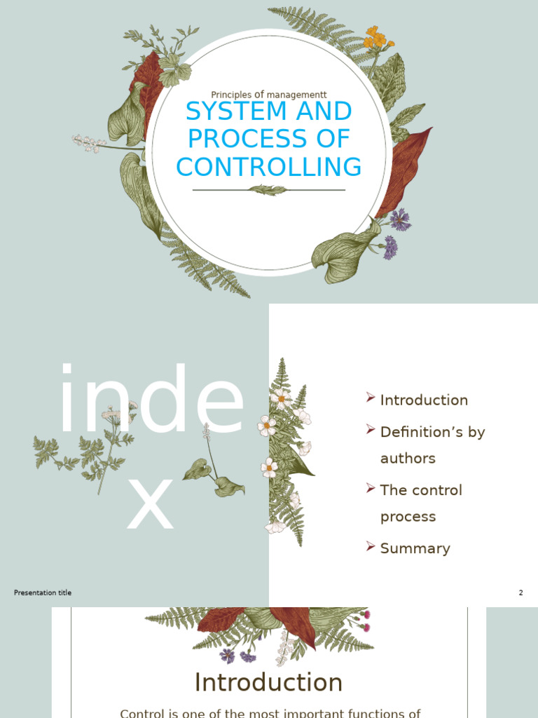 Control Process in Management Explained | PDF | Business