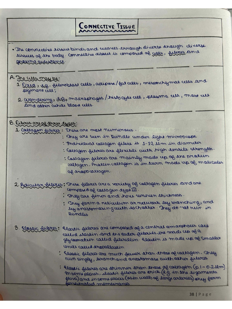 Histology Practical (Connective Tissue) | PDF