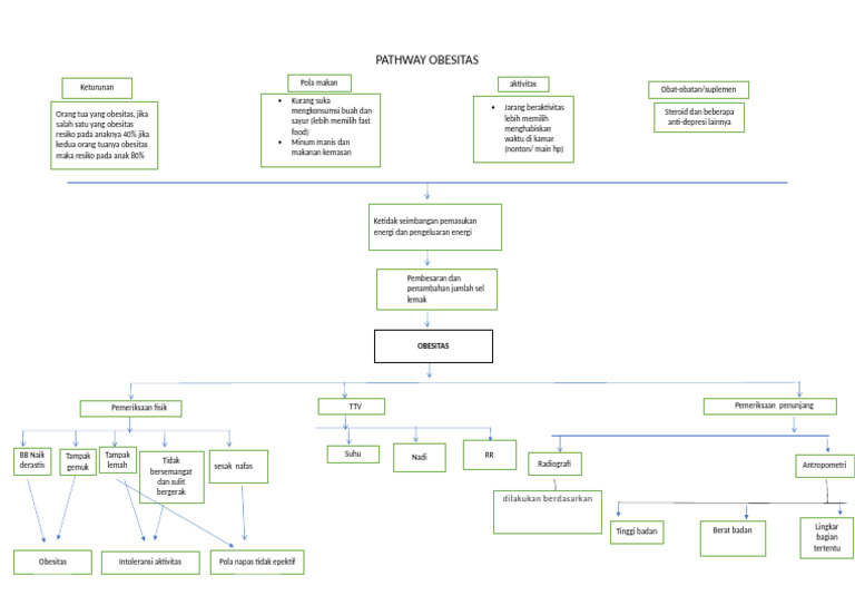 Pathway Obesitas pada Anak | PDF