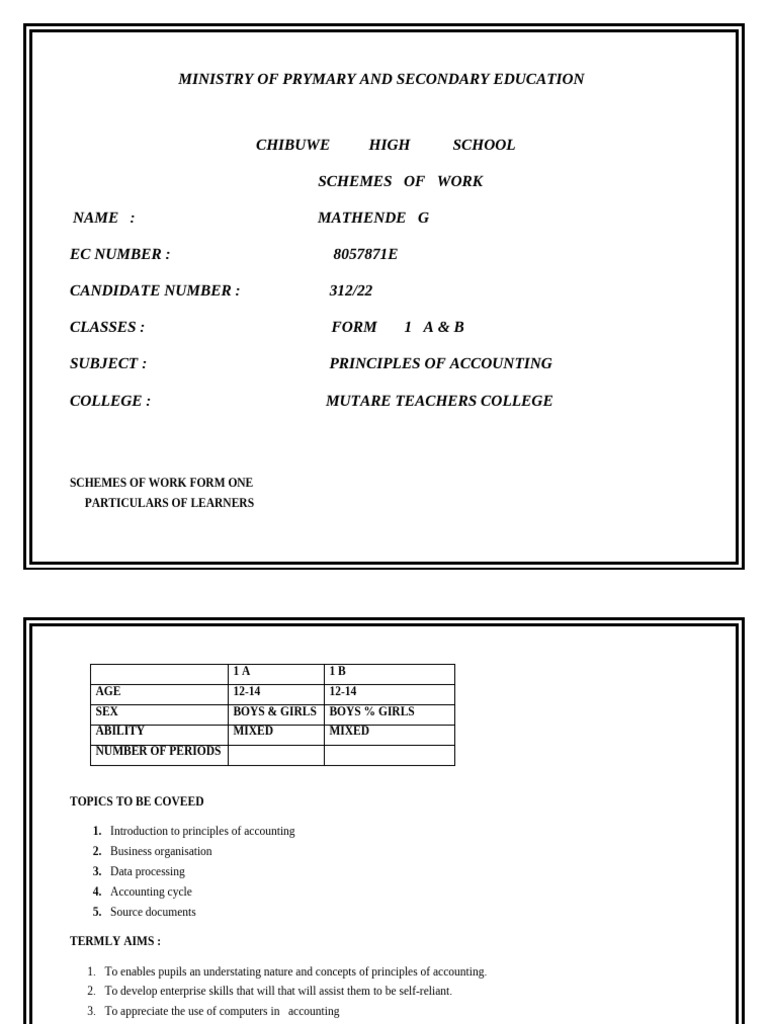 Chibuwe Accounts Schemes of Work | PDF | Educational Technology | Learning