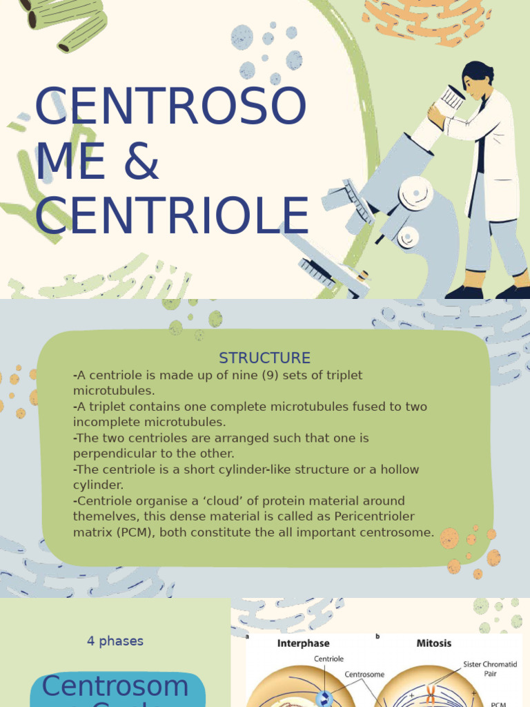 Centrosome and Centriole | PDF | Mitosis | Microtubule