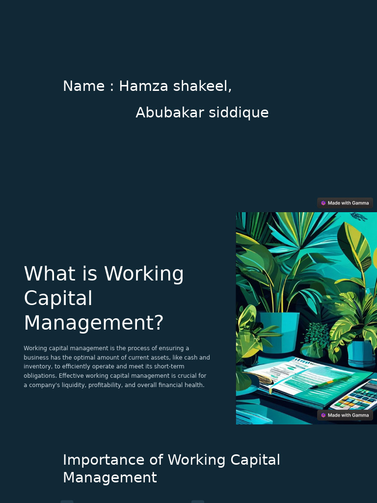 Name-Hamza-shakeel | PDF | Working Capital | Accounts Payable
