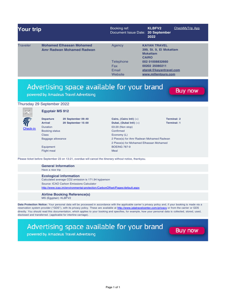 EgyptAir Online Check-In Guide | PDF | Civil Aviation | Aviation