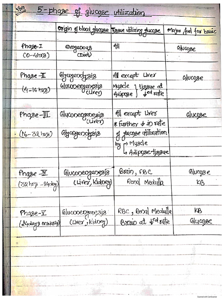 Neuro Aj Note Best1 | PDF
