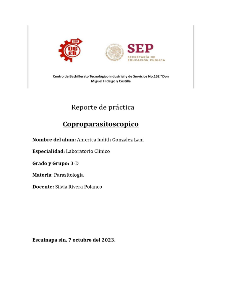 Reporte Copro | PDF