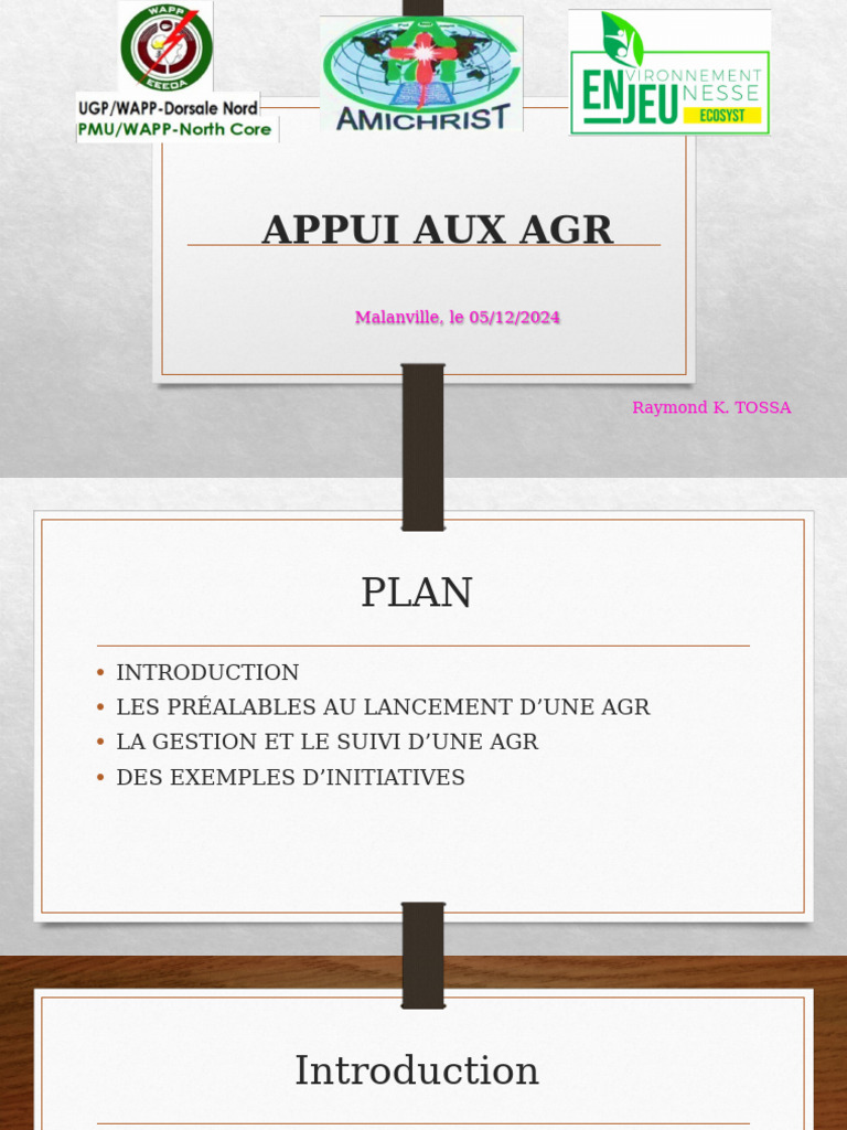Guide Pratique pour Lancer une AGR | PDF | Sodles | Risque