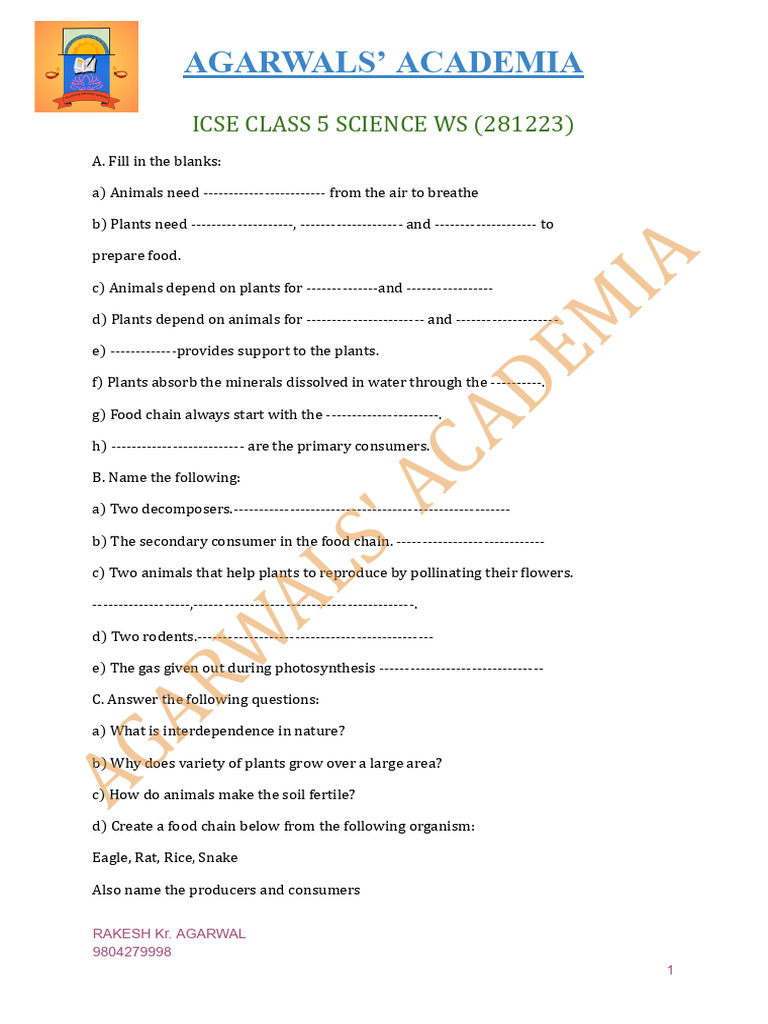 Icse Class 5 Science Interdependence in Living Beings WS | PDF