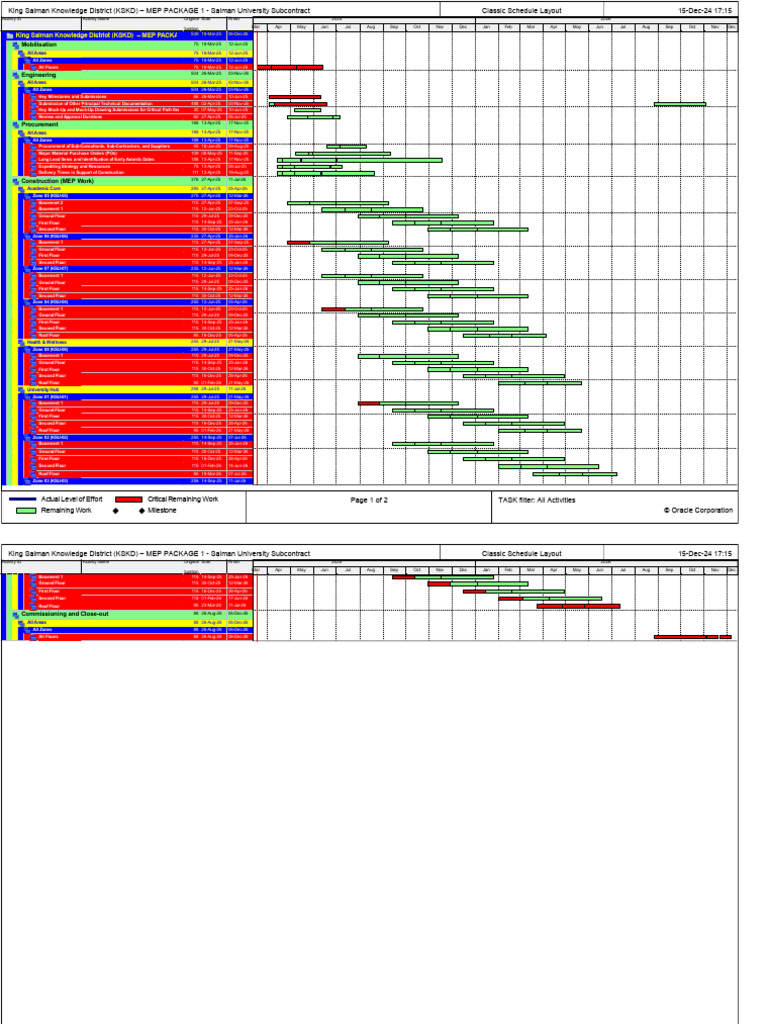MEP-Bid Form T8 Program Management - SCHEDULE - SummeryV5 - L2 | PDF