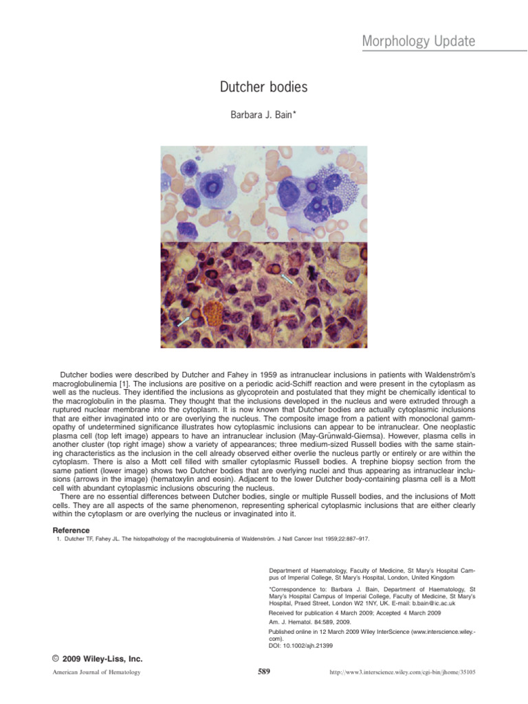American J Hematol - 2009 - Bain - Dutcher bodies | PDF | Cell Nucleus ...