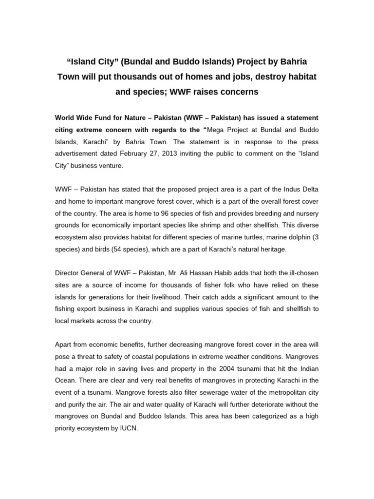 position_paper_devleopment | PDF | Karachi | Environmental Issues