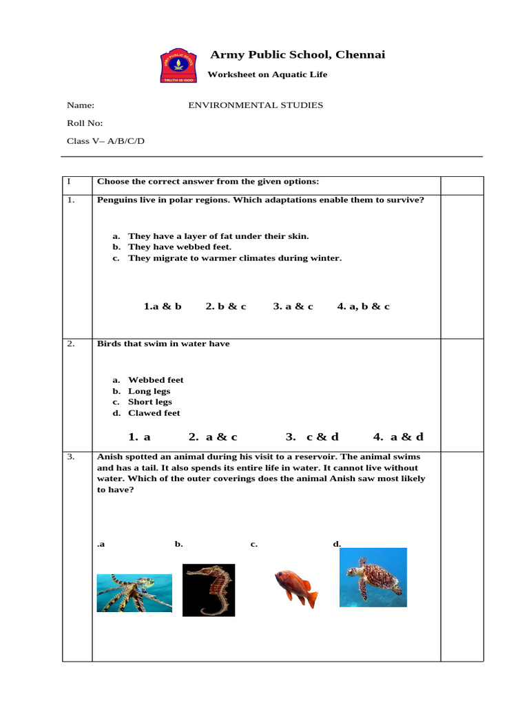 Class 5 EVS WORKSHEET HOLIDAY HOMEWORK | PDF | Fish | Zoology
