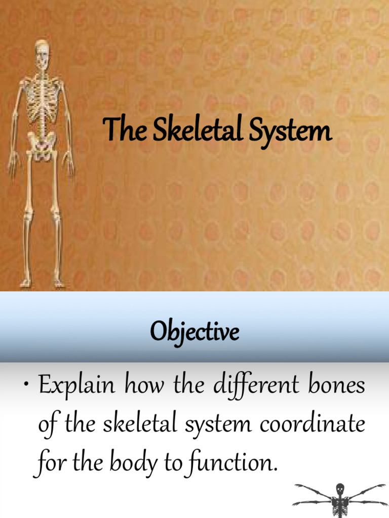 Q2-_LESSON_2-_THE_SKELETAL_SYSTEM | PDF