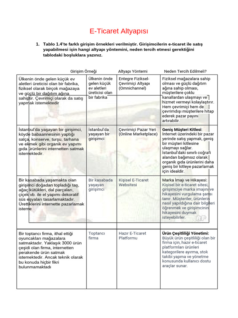 E-Ticaret Altyapısı | PDF