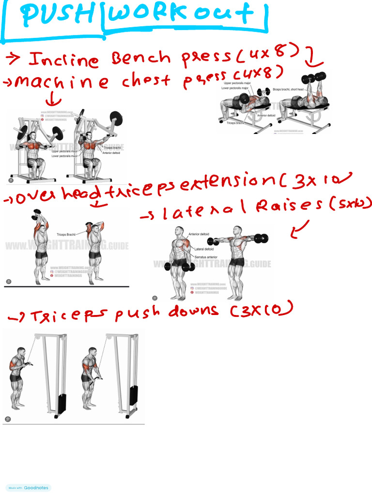 Push Workout | PDF