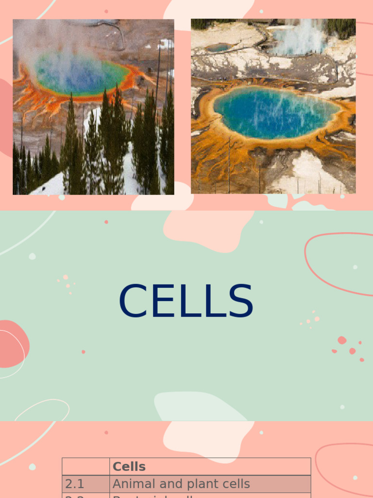 2. CELLS | PDF | Cell (Biology) | Chloroplast
