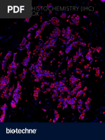 Troublshooting On The Roche Ventana Benchmark Ultra | PDF ...