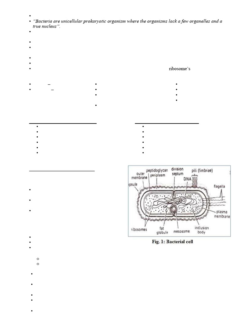 Ultra Structure of Bacteria | PDF | Lipopolysaccharide | Cell Membrane