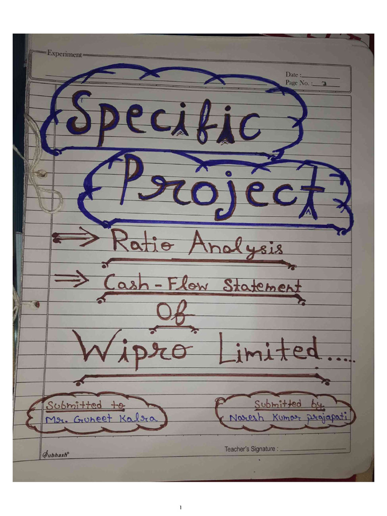 Accountancy Project | PDF