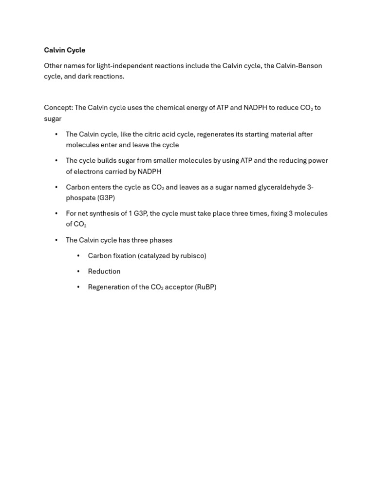 Overview of the Calvin Cycle Phases | PDF