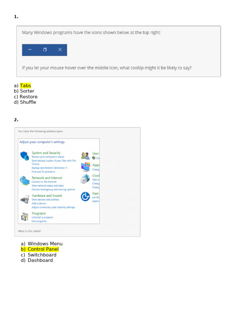 Stela Negru Basic Computer Skills% | PDF