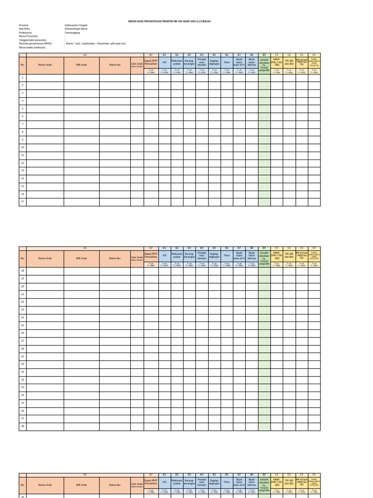 Form Rekap Hasil Pemantauan MPASI | PDF