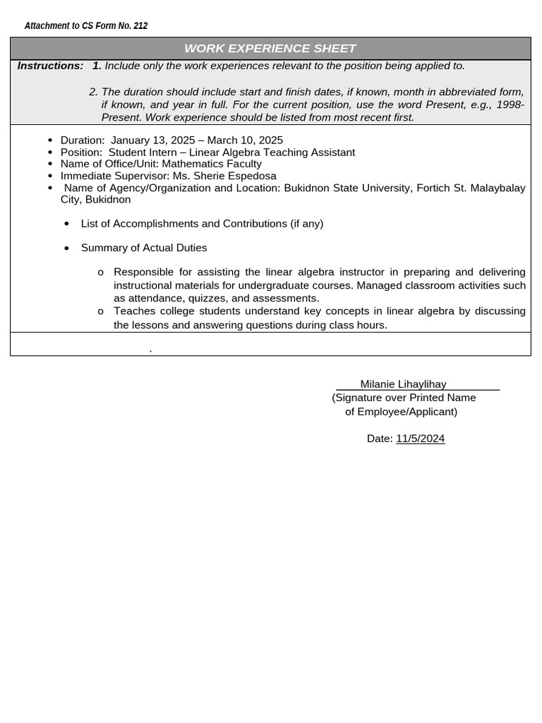 CS Form No. 212 Attachment - Work Experience Sheet | PDF