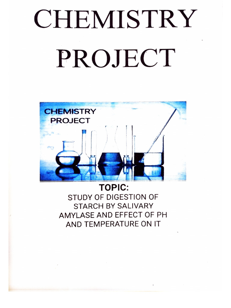 ACE Scanner_2025_01_02 | PDF