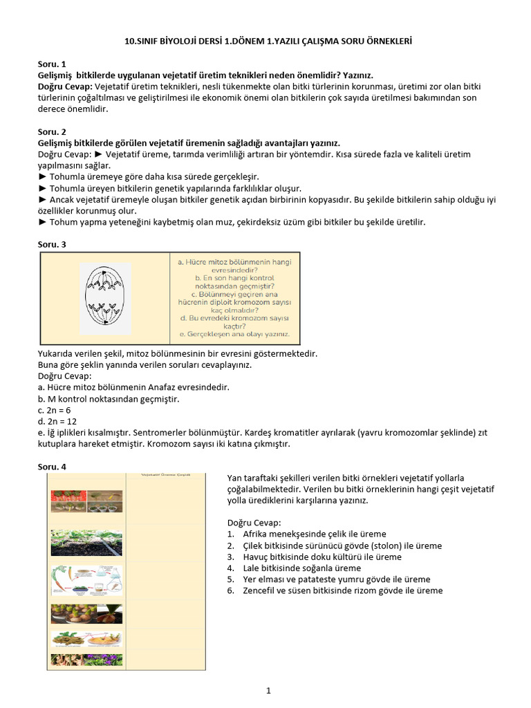 10 Sinif Yazili Calisma Sorulari | PDF