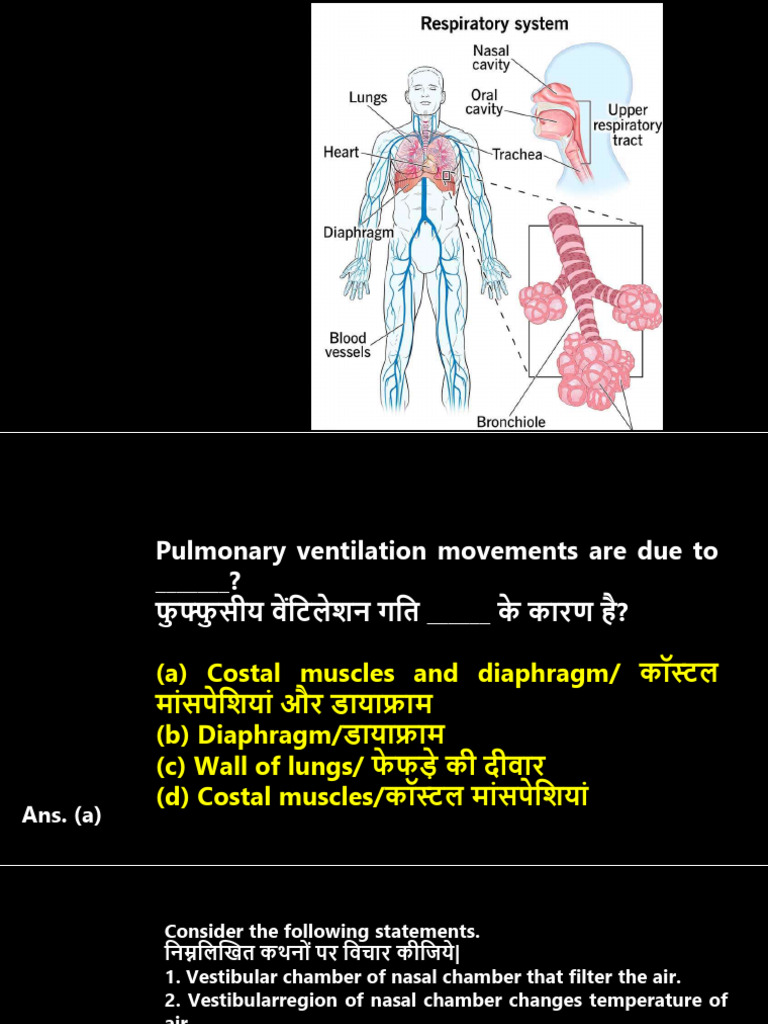 Respiratory System Part2 My Channel | PDF